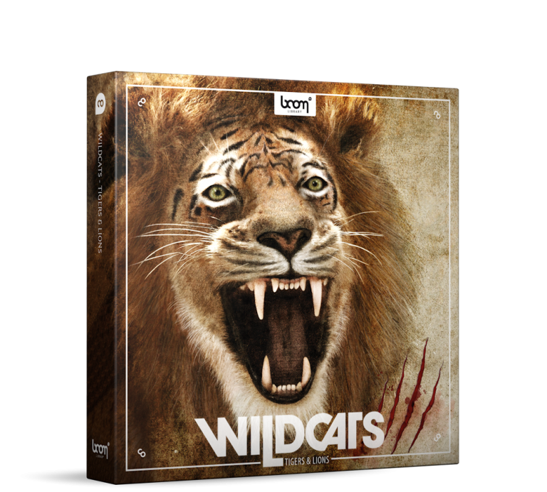BOOM Library Wildcats - GEARLOUNGE