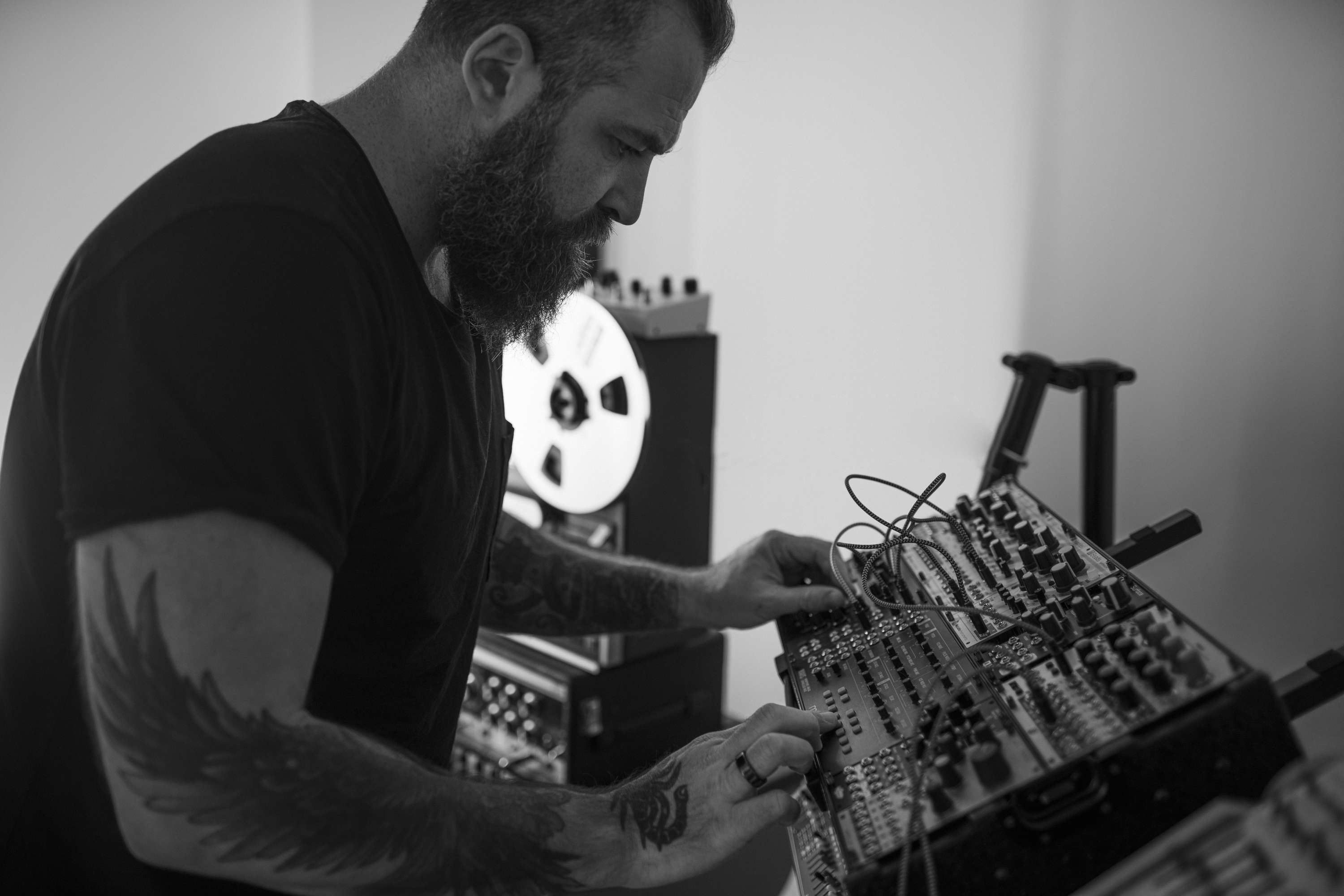 [Moog Music] Mavis 중심으로 제작된 - Gearlounge