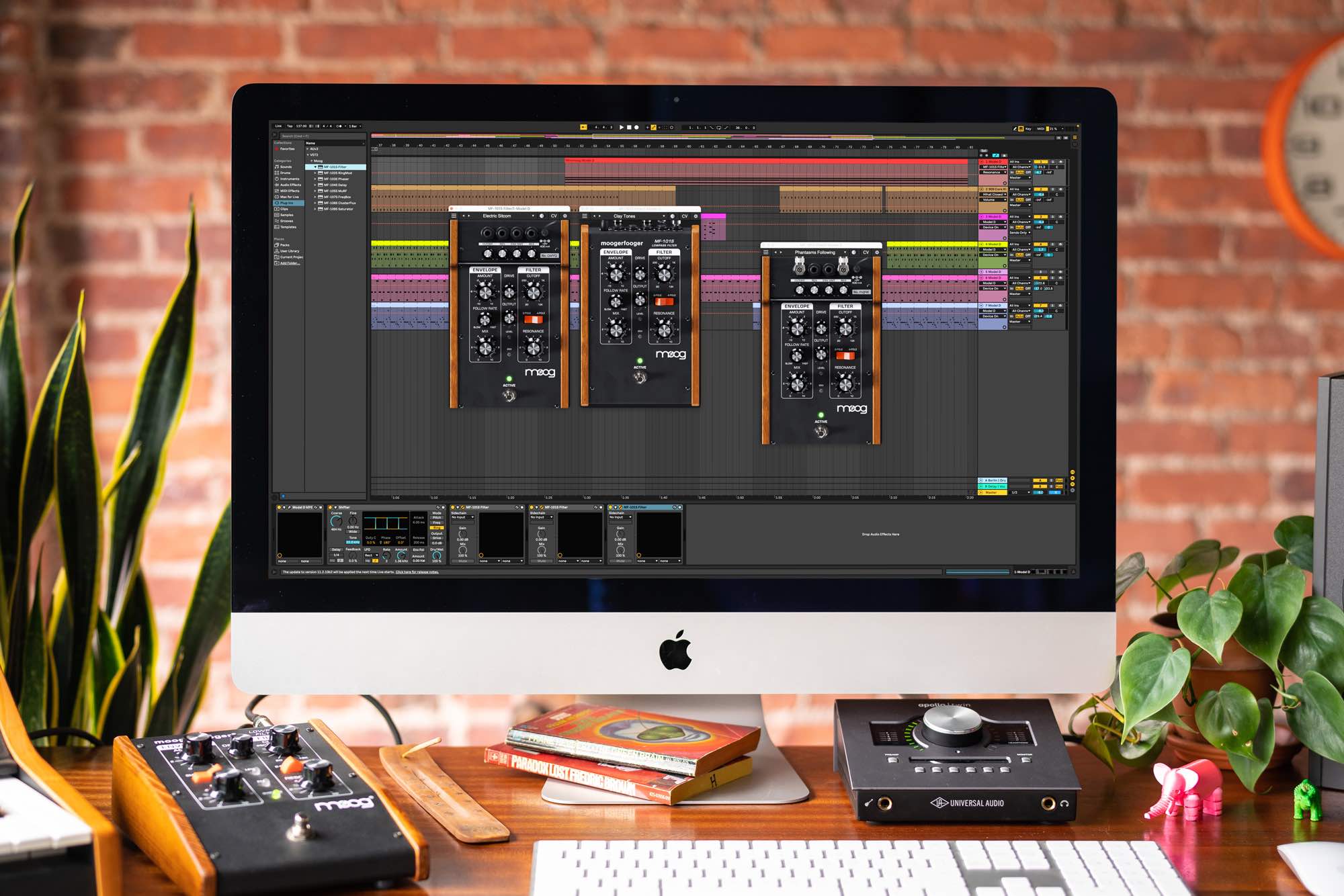 Moog Music MF-101S Lowpass Filter - GEARLOUNGE