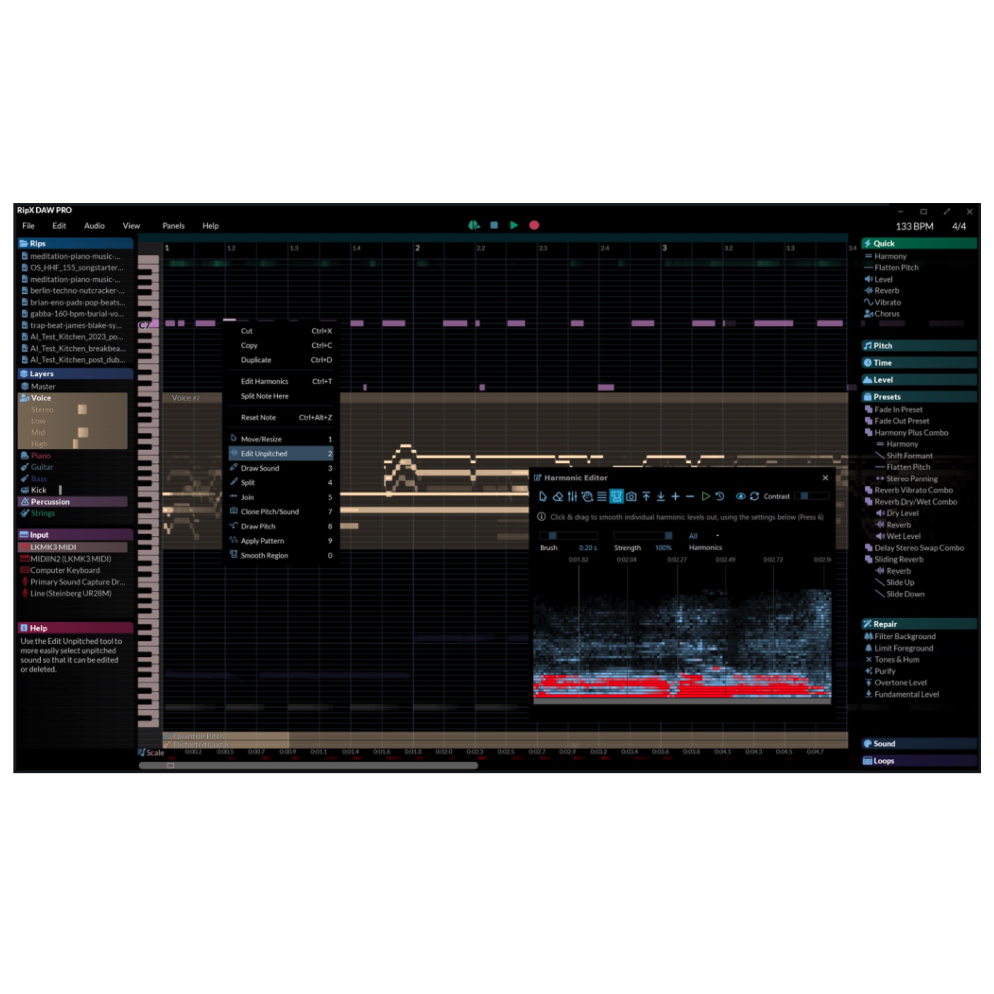 Hit'n'Mix RipX DAW PRO - Gearlounge