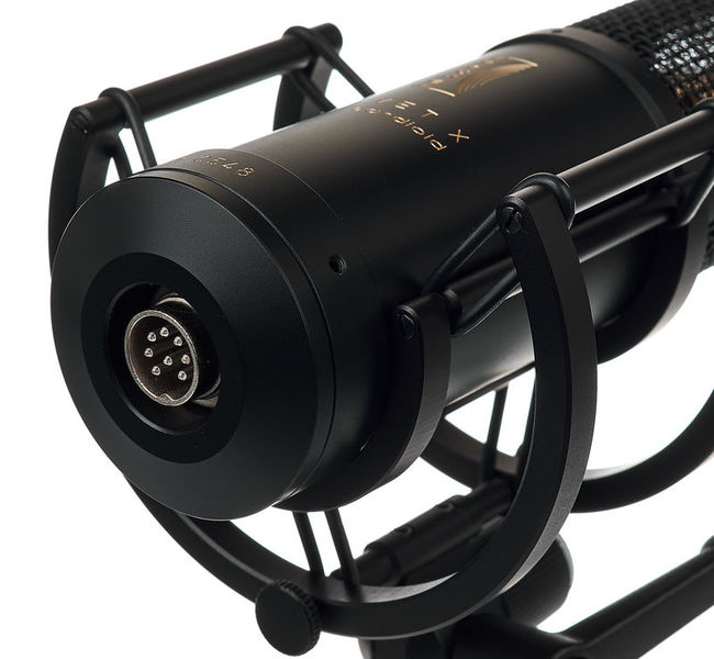 Brauner Valvet X - Gearlounge