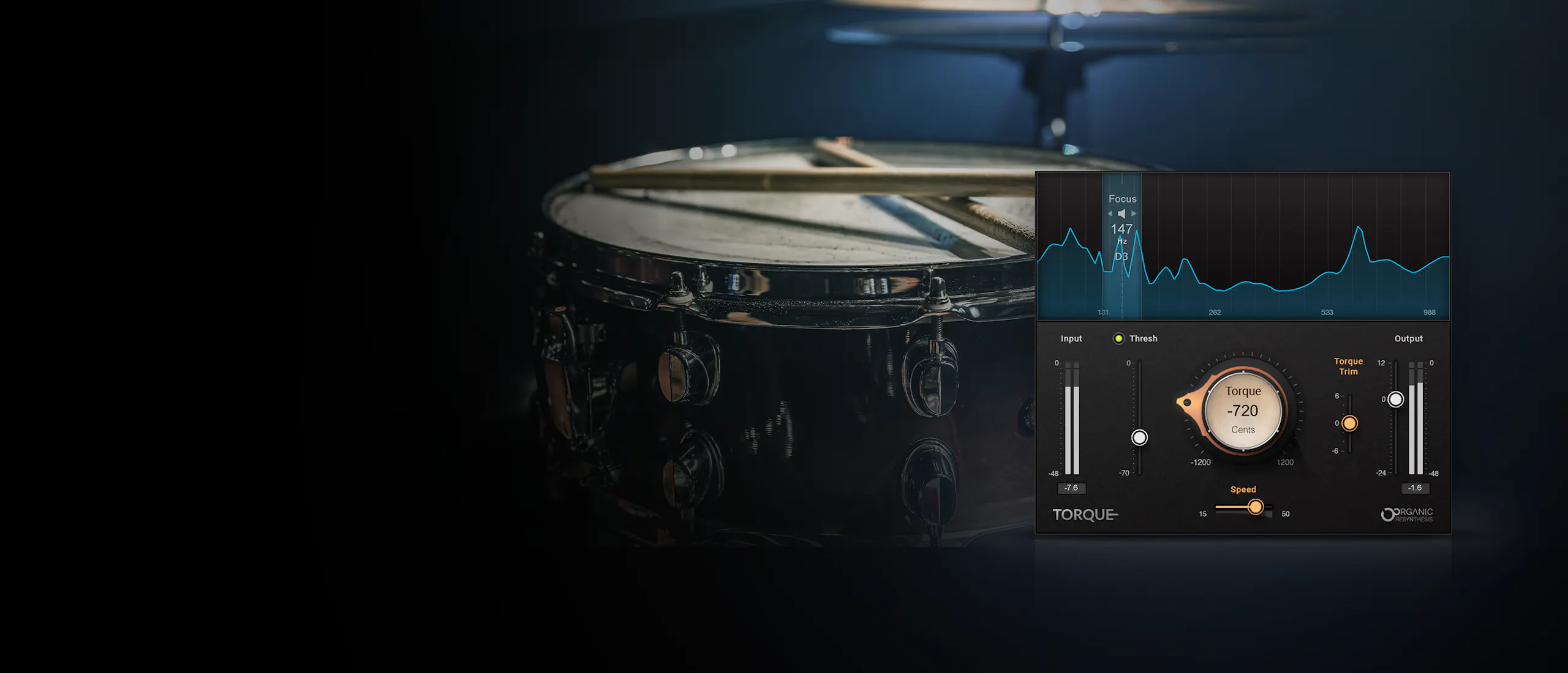 Waves Torque - Gearlounge