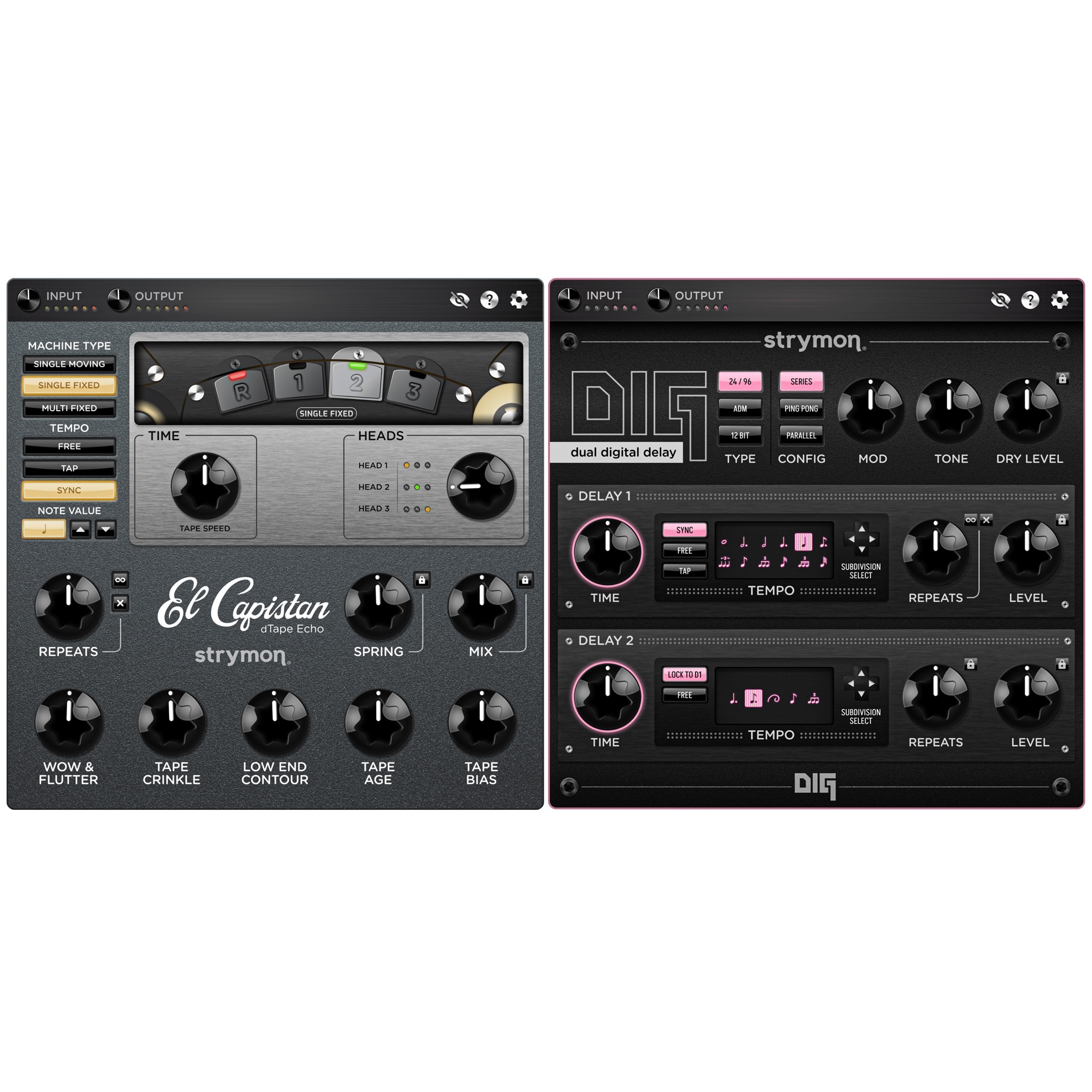 Strymon Echo Bundle - GEARLOUNGE