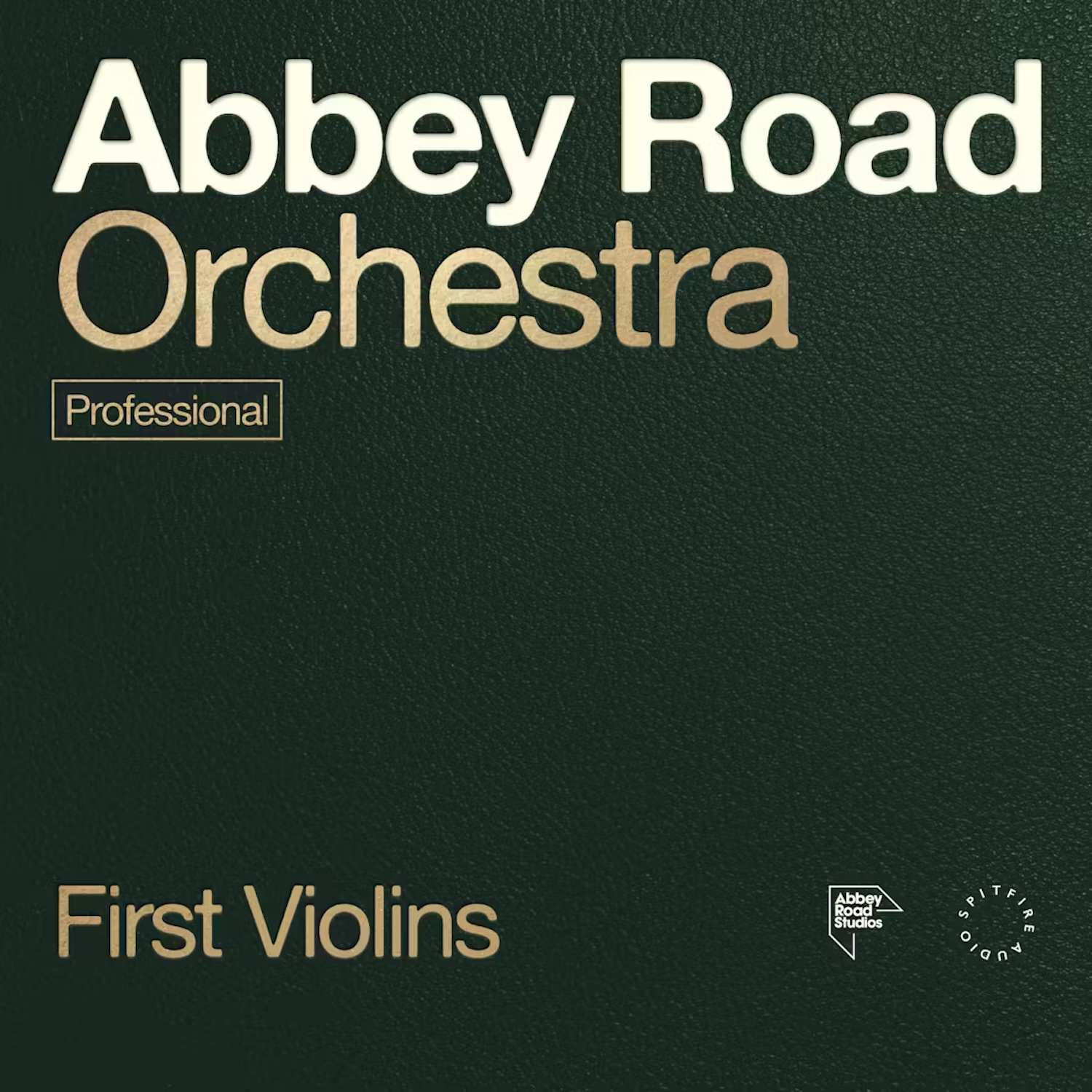Spitfire Audio Abbey Road Orchestra: 1st Violins Professional - Gearlounge