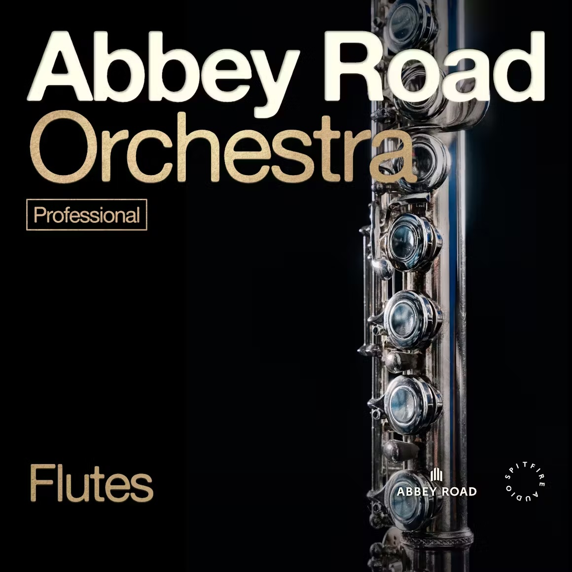Spitfire Audio Abbey Road Orchestra: Flutes Professional - GEARLOUNGE