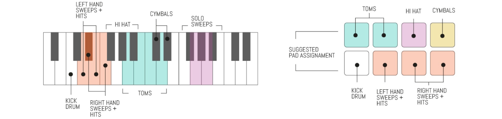 Sampleson Brushify Pro - Gearlounge
