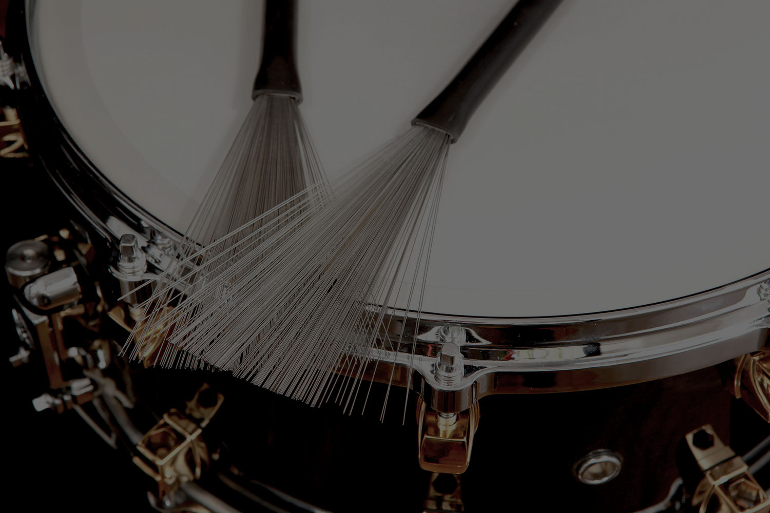 Sampleson Brushify Pro - Gearlounge