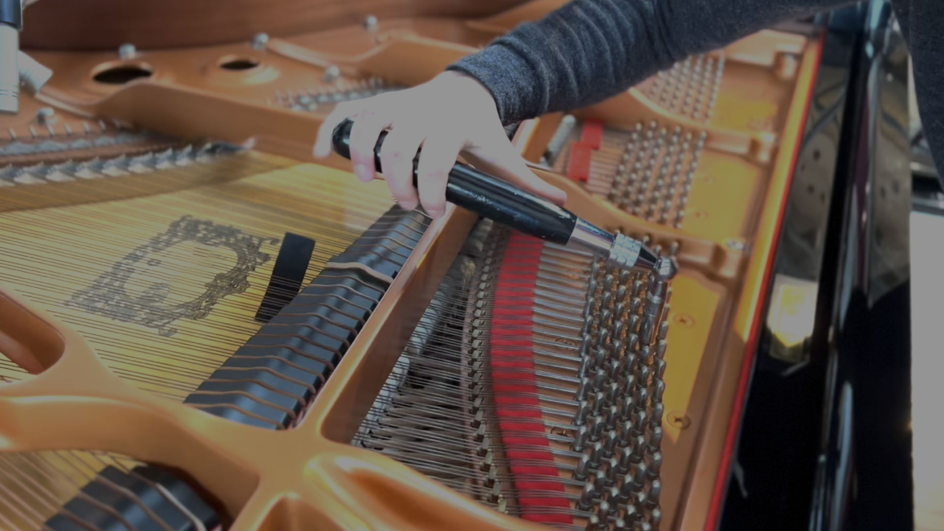 Sampleson MetaPiano - Gearlounge